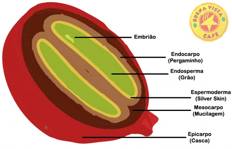 junho | 2019 | Buenavista Café – Blog