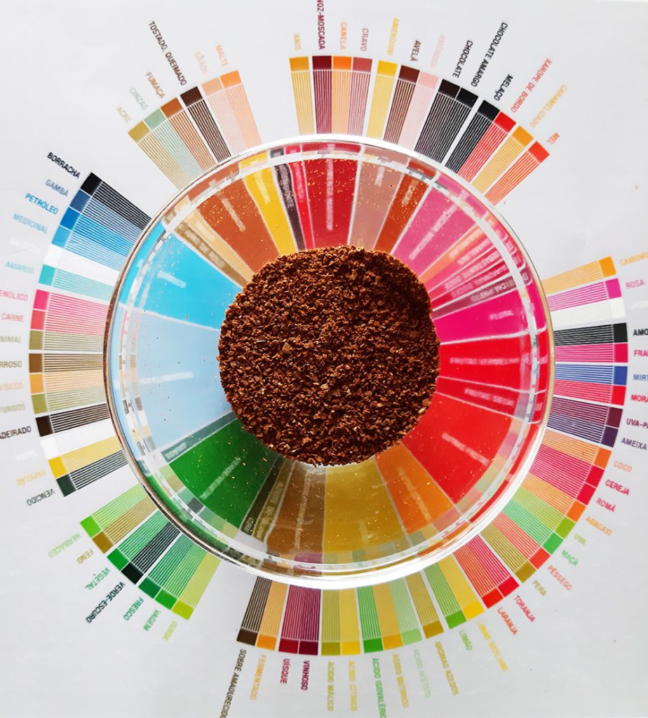 PDF – Roda de Sabores do Provador de Café – Buenavista Café